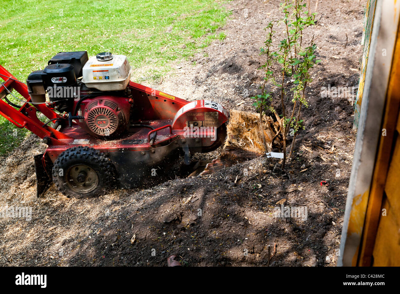 Stump grinder hi-res stock photography and images - Alamy