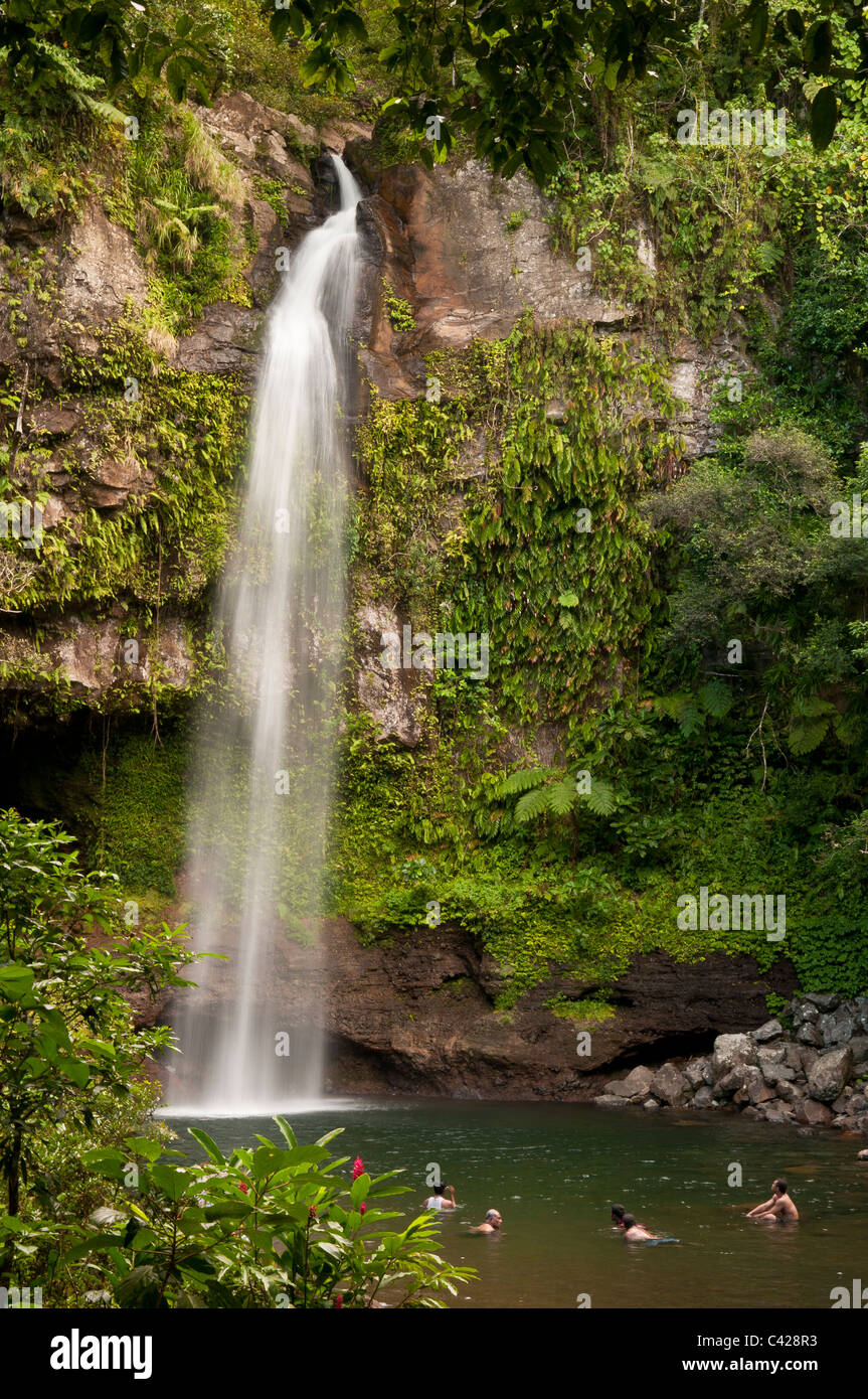 Tavoro Waterfall in Bouma National Park on Qamea Island, Fiji Stock ...