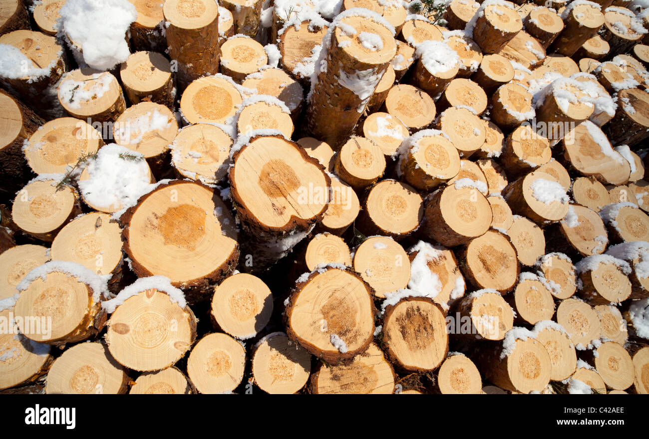 Natural texture cut end log hi-res stock photography and images - Alamy