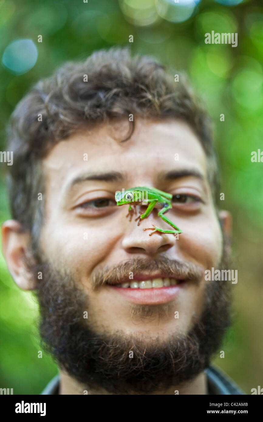 Frog face hi-res stock photography and images - Alamy