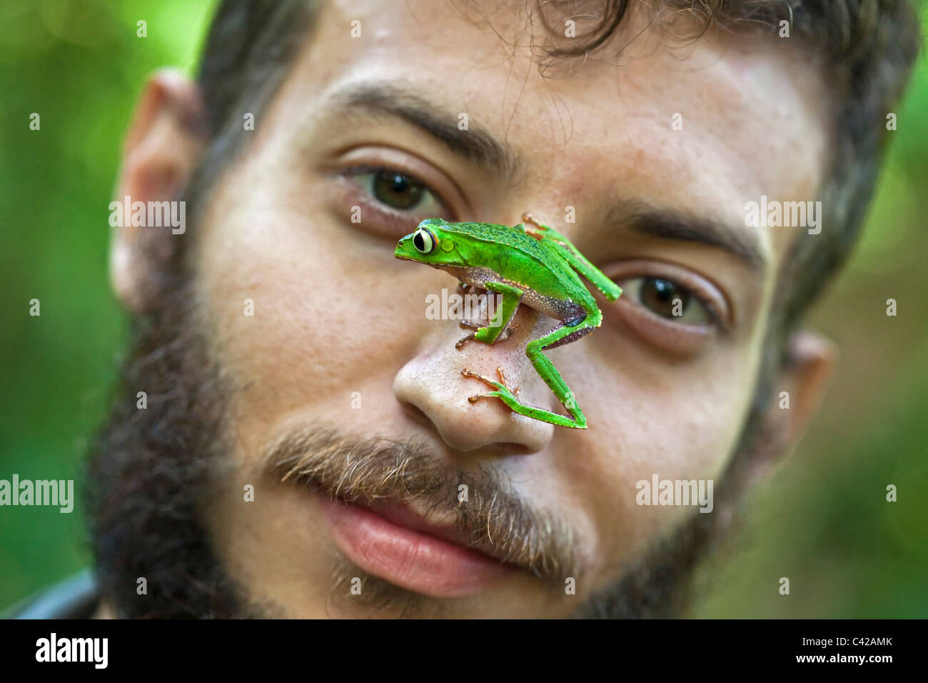 Frog face hi-res stock photography and images - Alamy