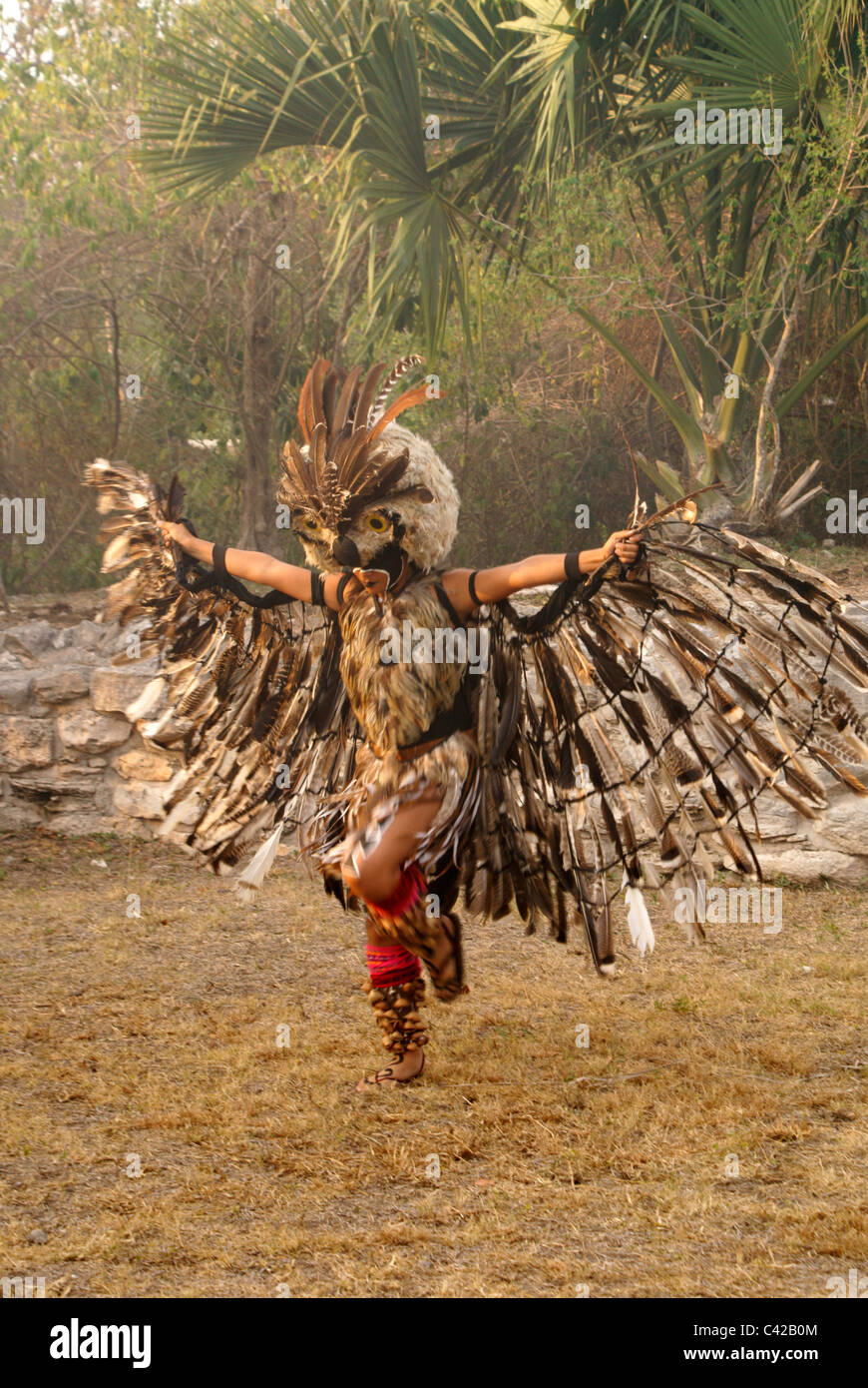 Owl costume hi-res stock photography and images - Alamy