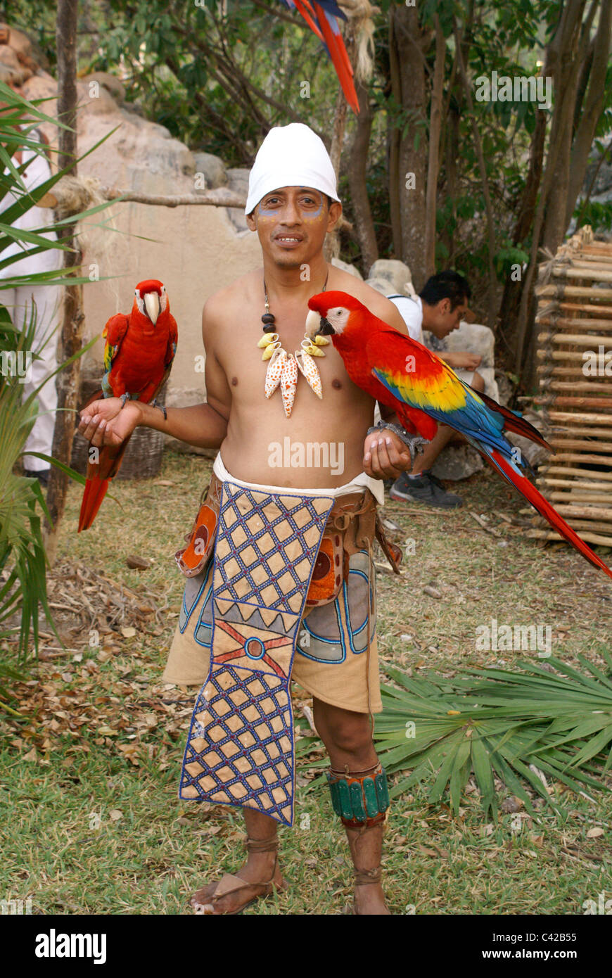 Mayan riviera birds hi-res stock photography and images - Alamy
