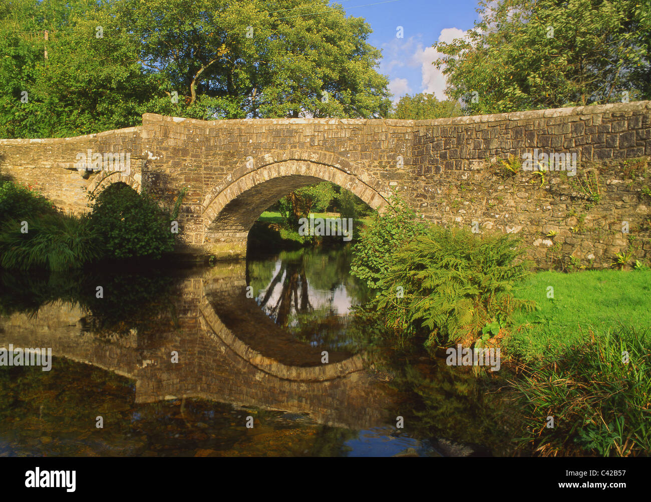 UK,Devon,Dartmoor,Huckworthy Bridge & River Walkham Stock Photo - Alamy