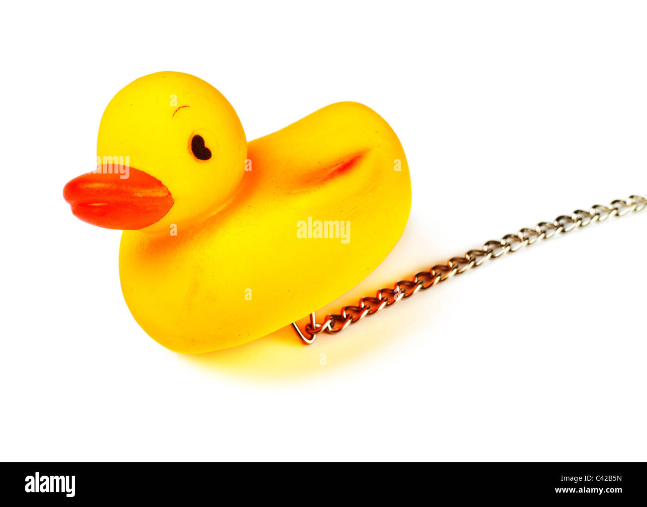 toy duck for bath with chain isolated on white Stock Photo - Alamy