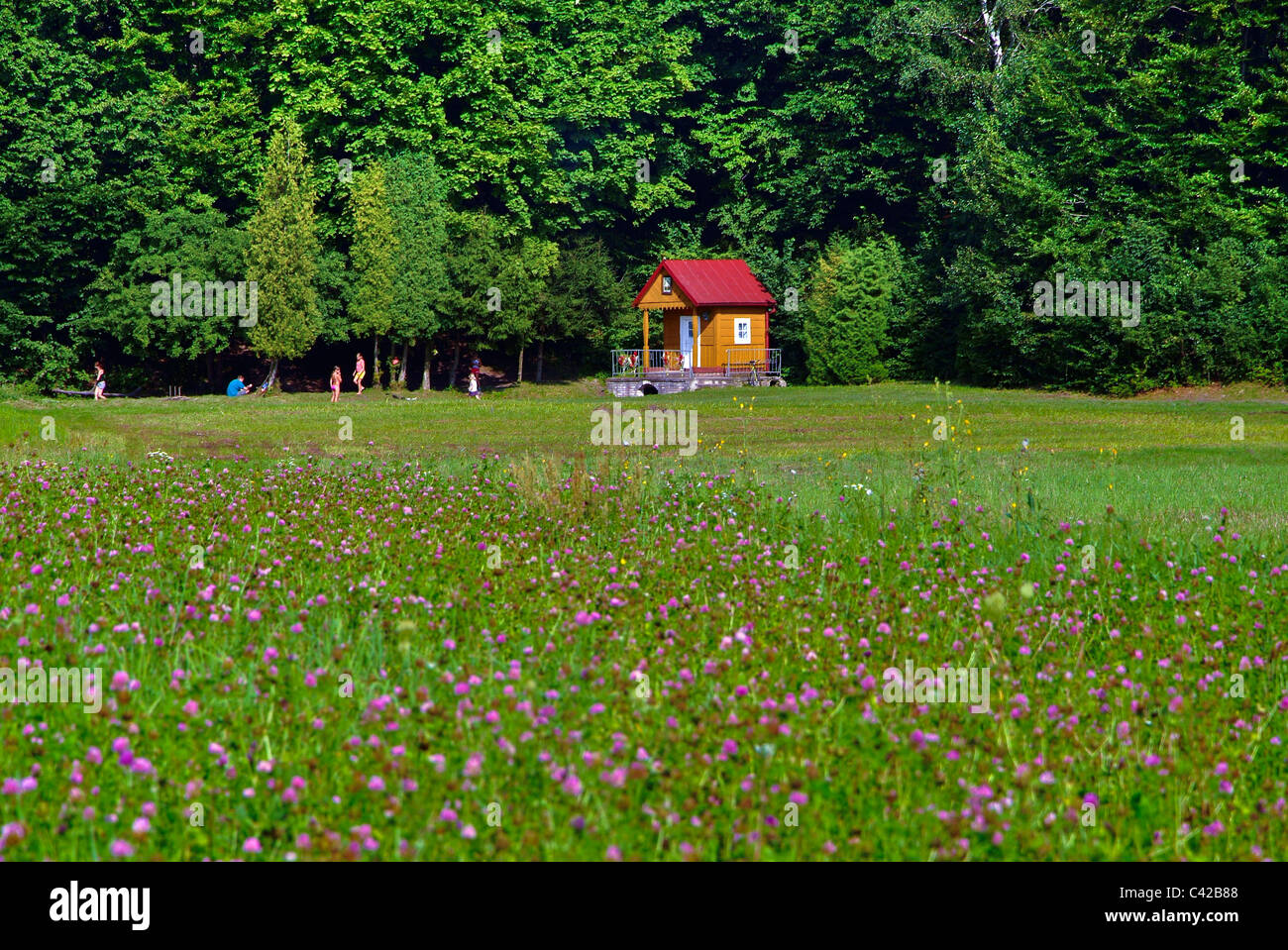 Chapel St. Romana in Lipsko - Roztocze, Southeastern Poland, Europe ...