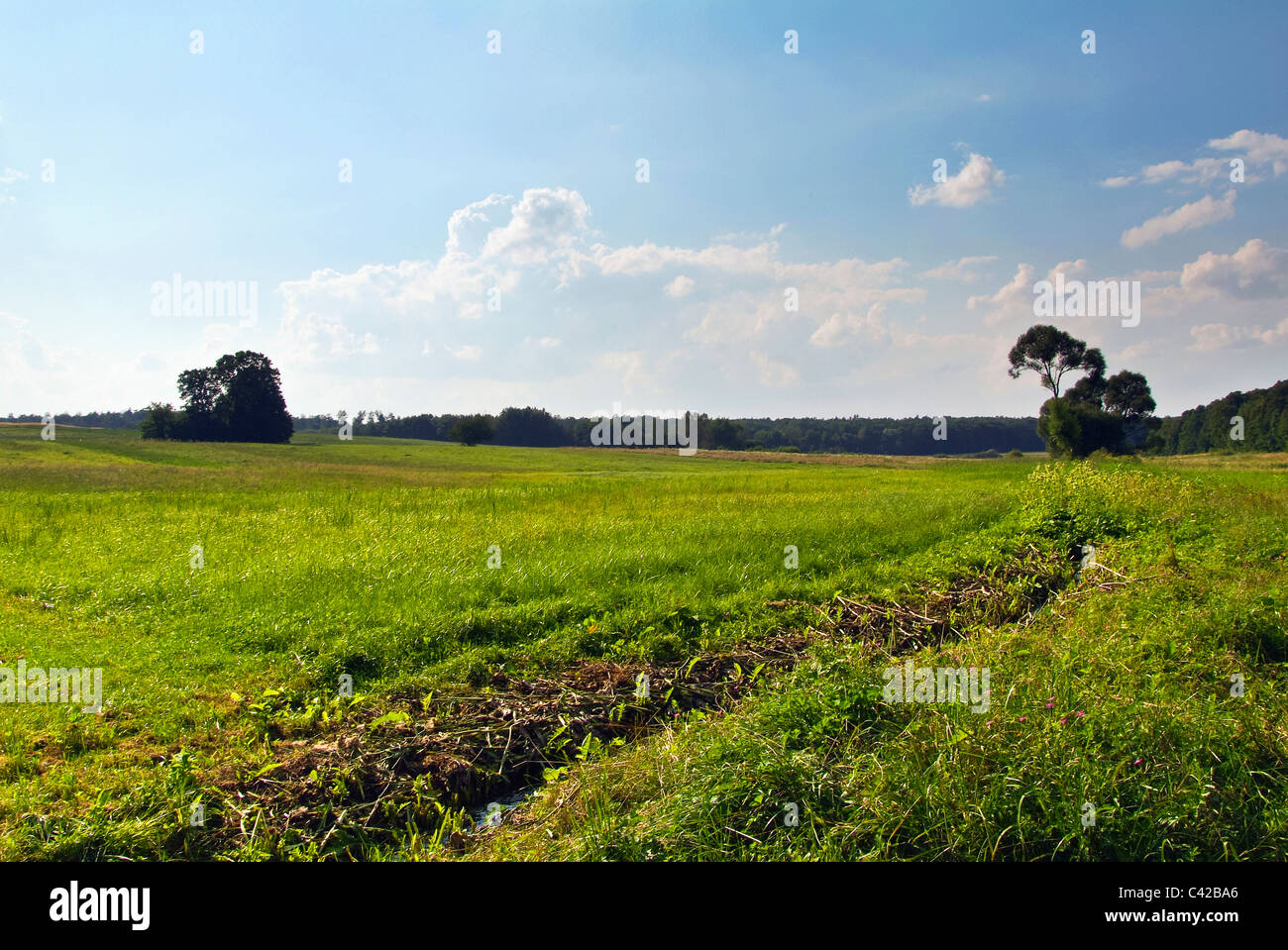 Panorama of Polish forests, fields Stock Photo - Alamy