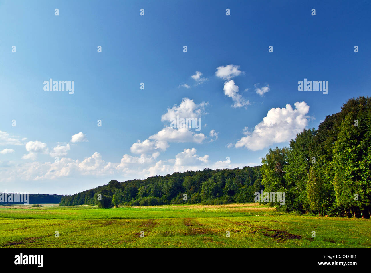 Panorama of Polish forests, fields Stock Photo - Alamy