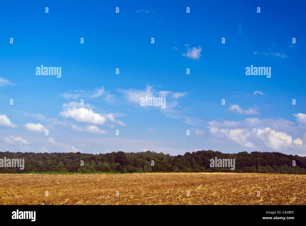 Panorama of Polish forests, fields Stock Photo - Alamy