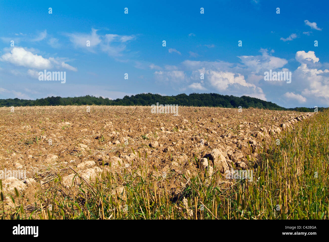 Panorama of Polish forests, fields Stock Photo - Alamy