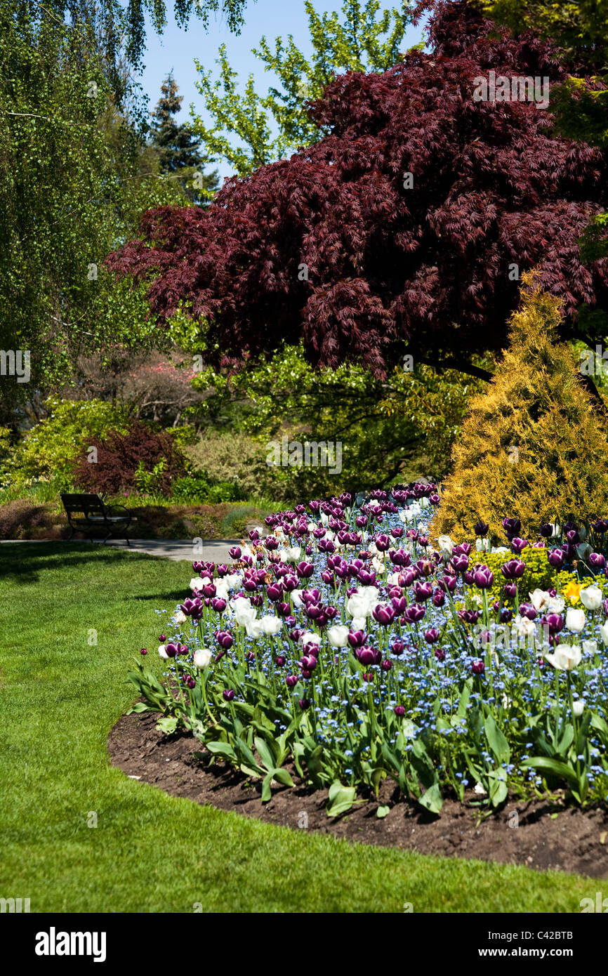 Spring Flower Garden for background Stock Photo - Alamy