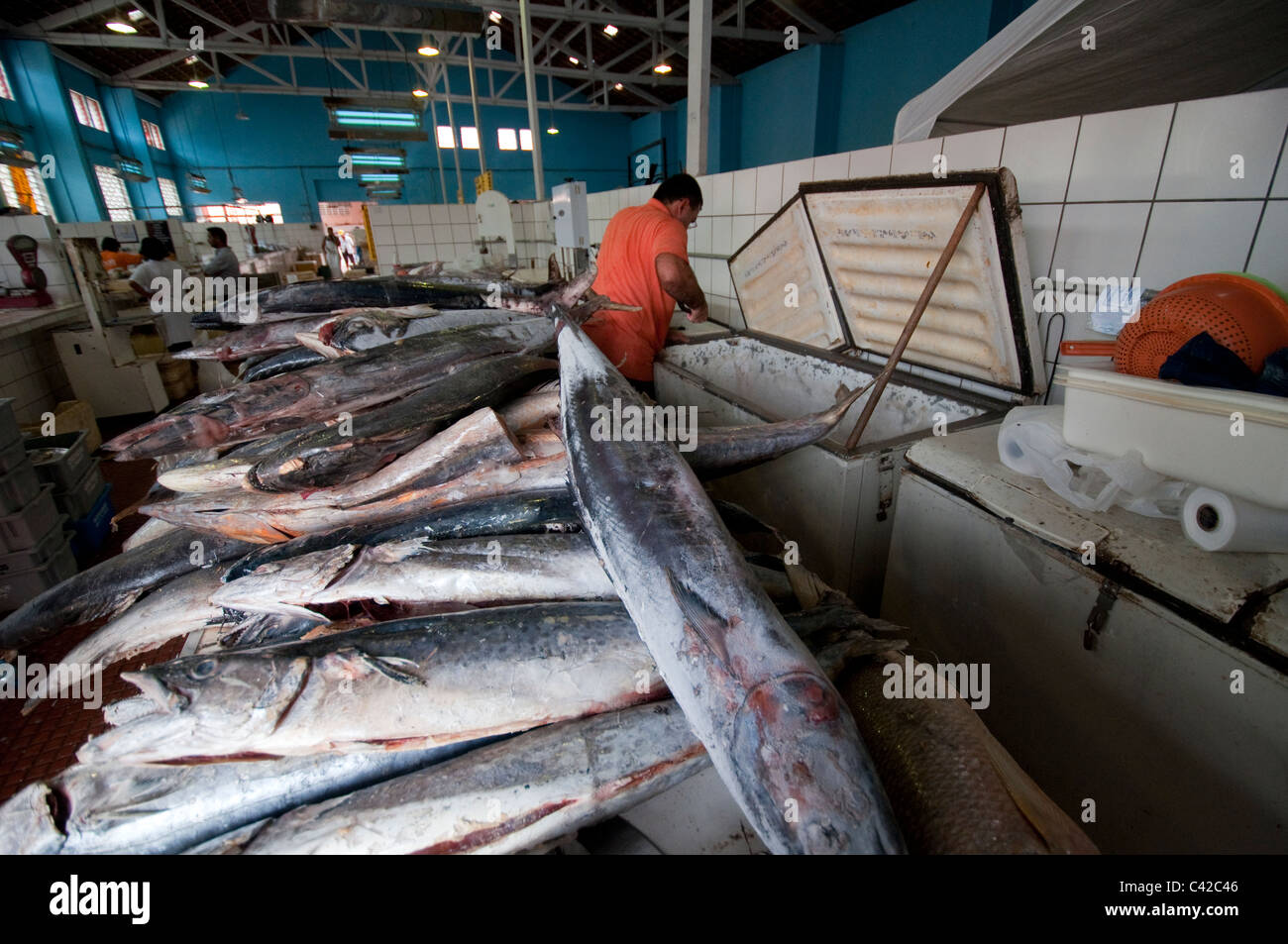 Fish market in Recife South eastern Brazil Stock Photo - Alamy