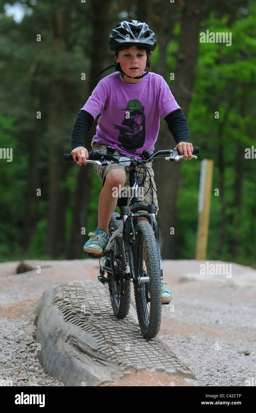 Mountain biker riding along trail in forest hi-res stock photography ...