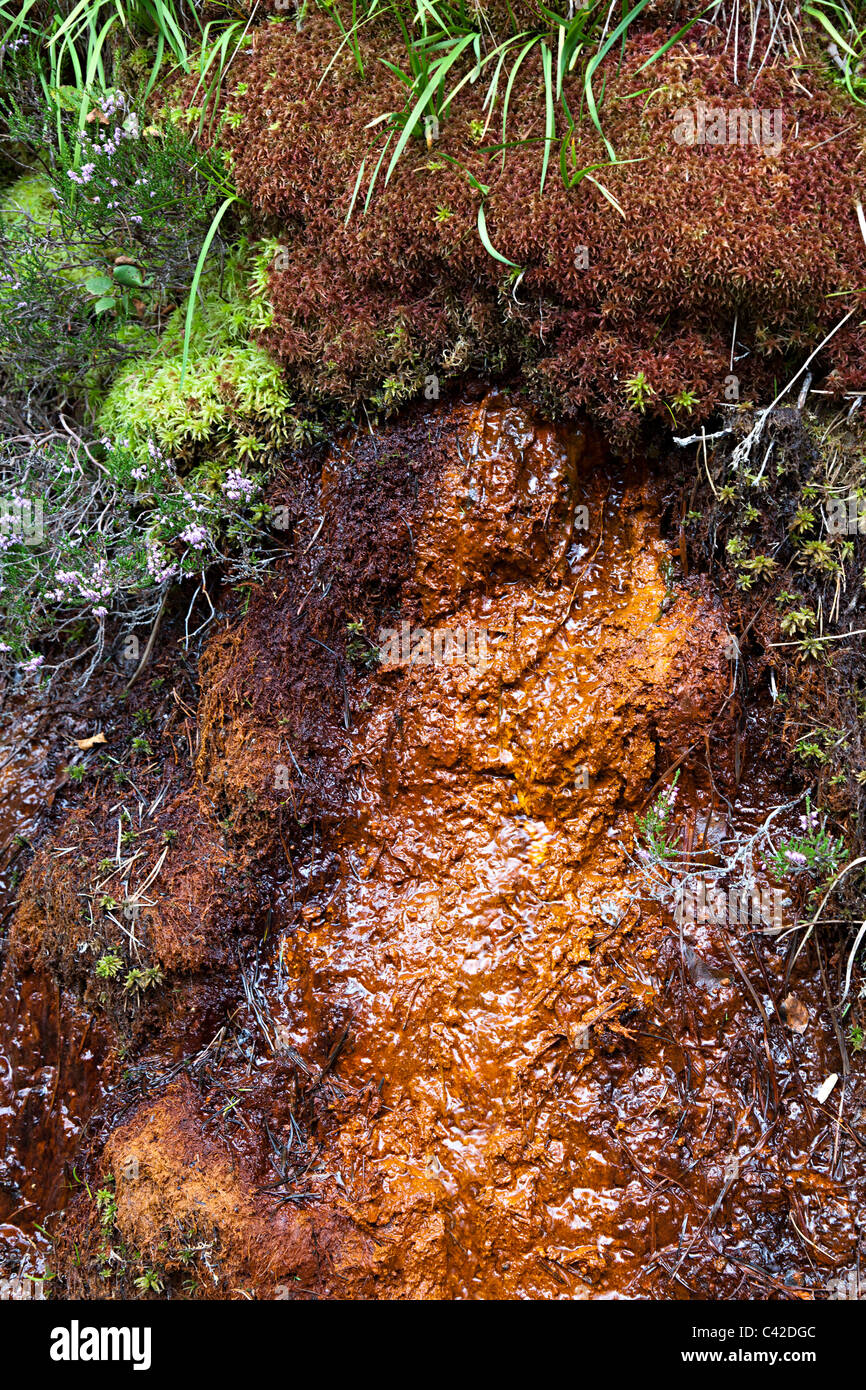 Soil pollution hi-res stock photography and images - Alamy