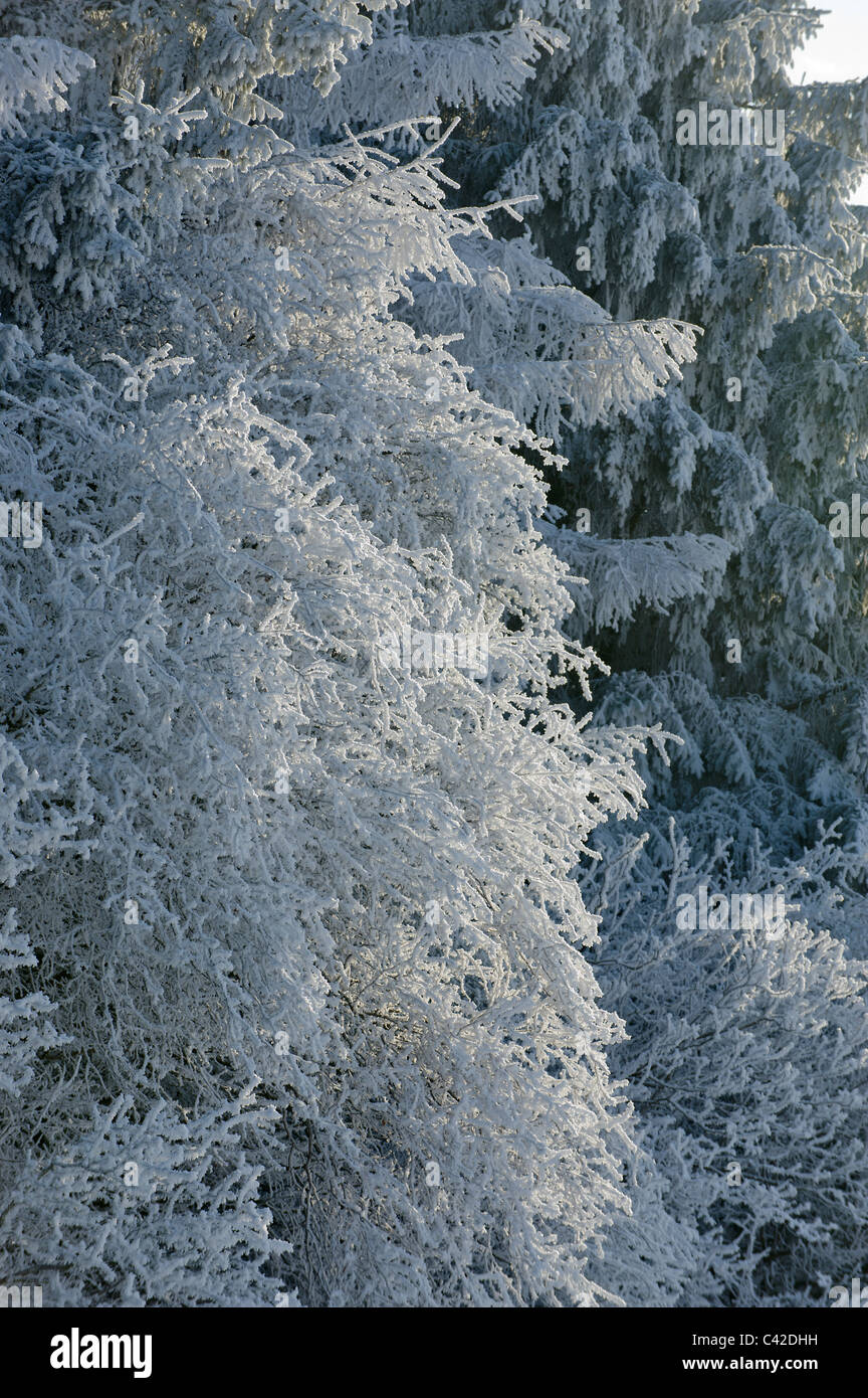 Weather freezing hi-res stock photography and images - Alamy