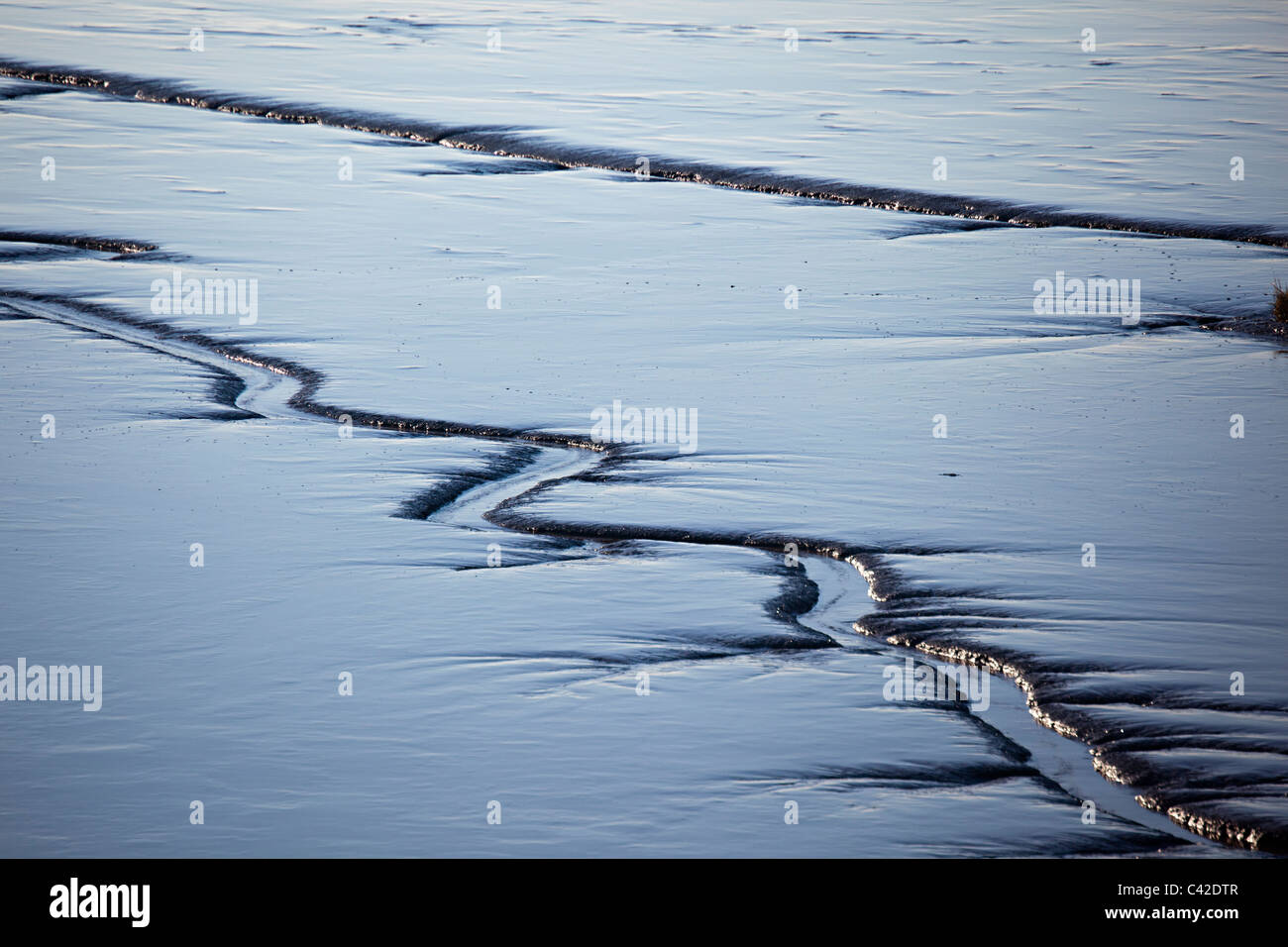 Coastal feeding ground for birds at Newport Wetlands Wales UK Stock ...