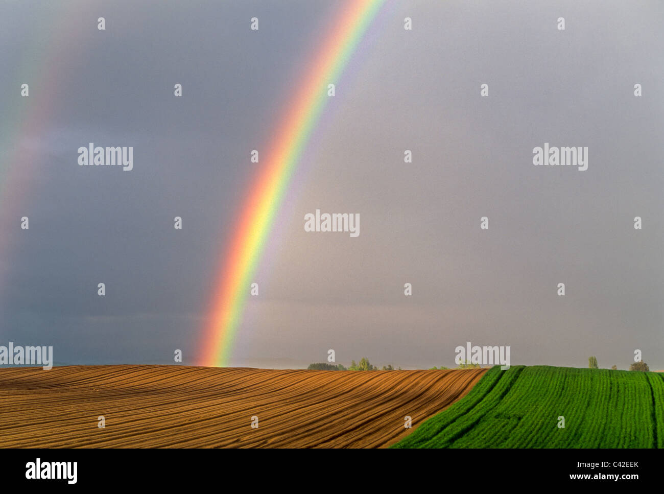 Rainbow stock photo hi-res stock photography and images - Alamy