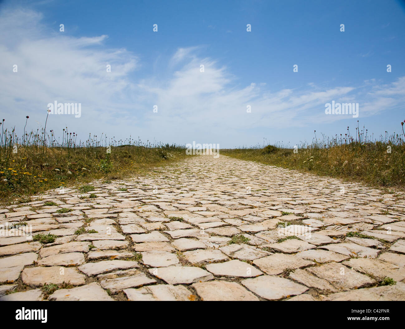 Pathway to nowhere hi-res stock photography and images - Alamy