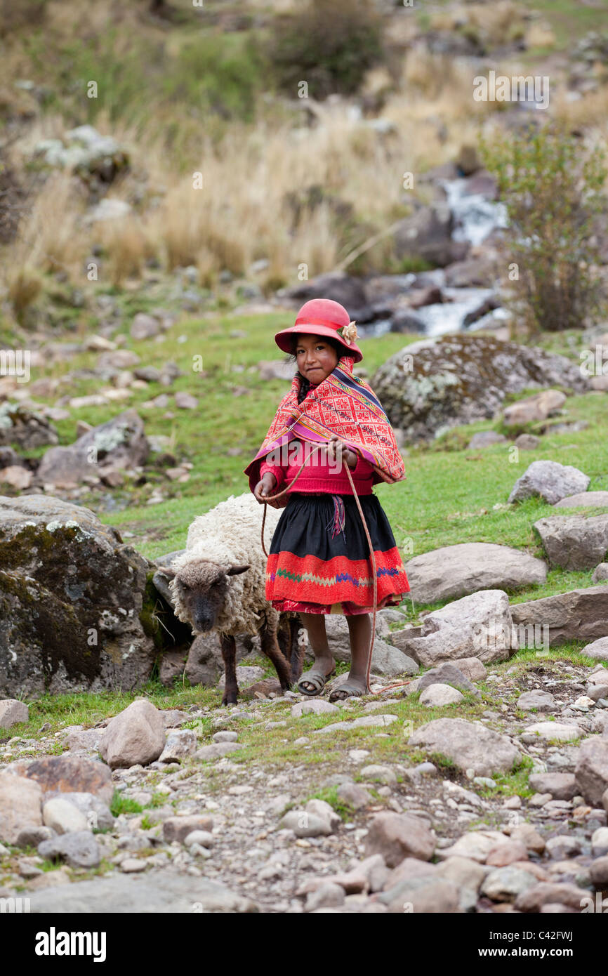 Indian girl in traditional dress herding sheep Stock Photo - Alamy