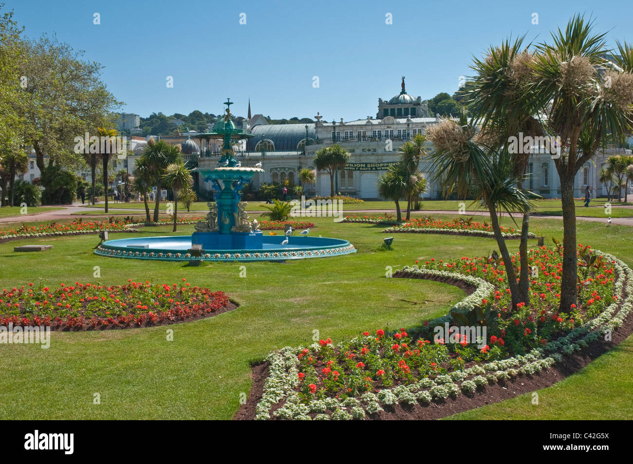 Palm trees in gardens & Pavilion Torquay Devon Stock Photo - Alamy
