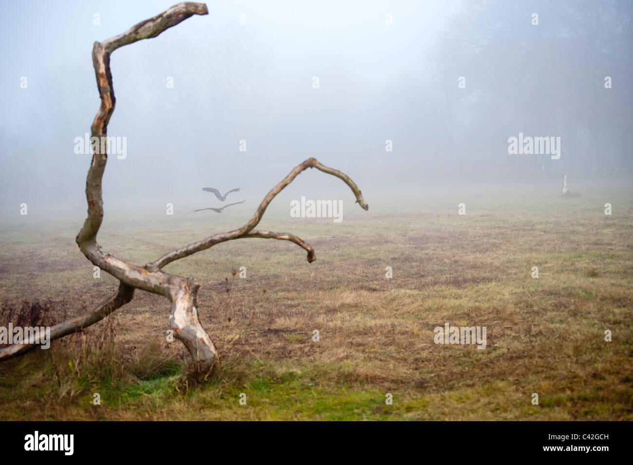 Flying mist hi-res stock photography and images - Alamy