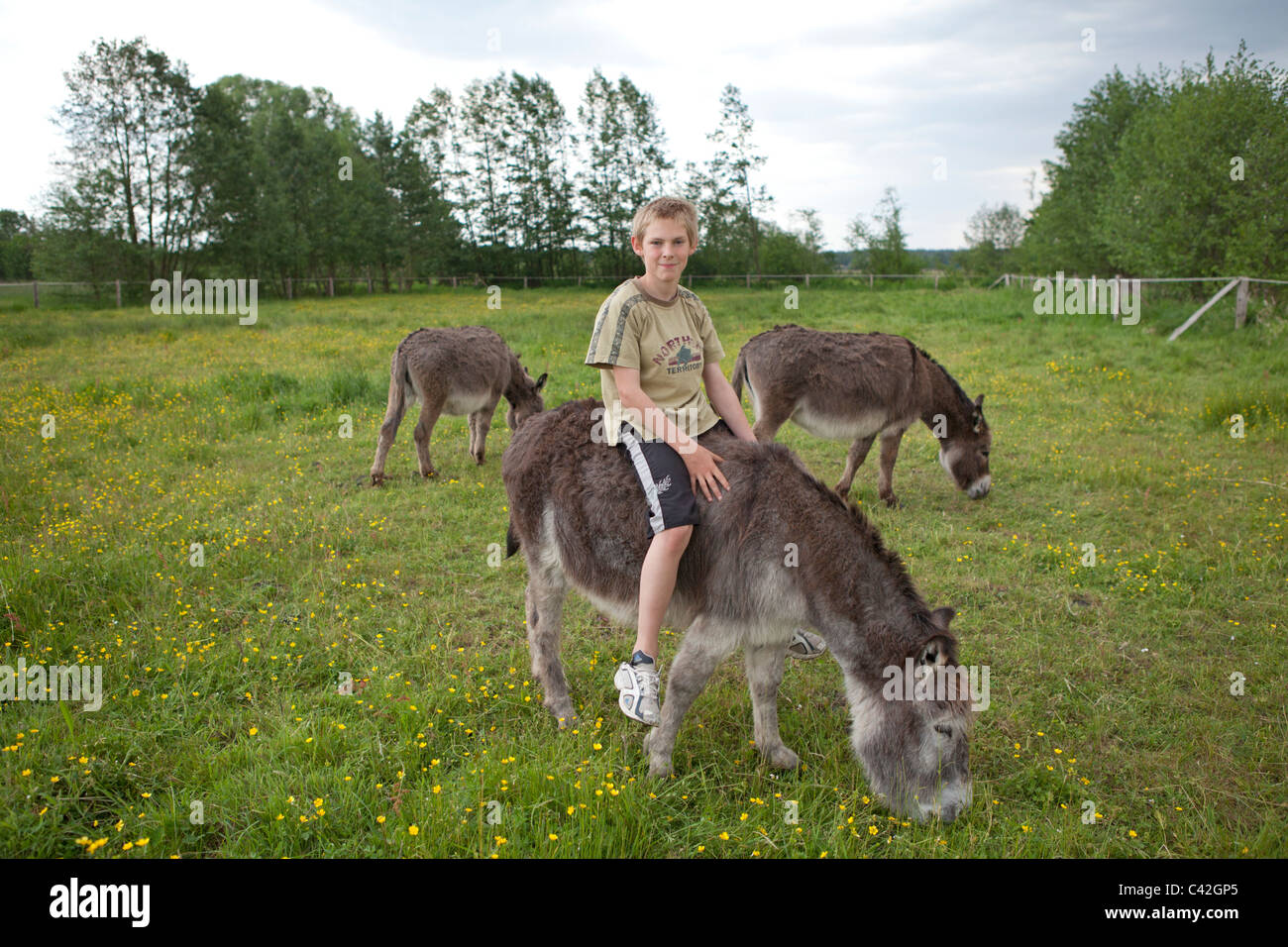 Children riding a donkey hi-res stock photography and images - Alamy