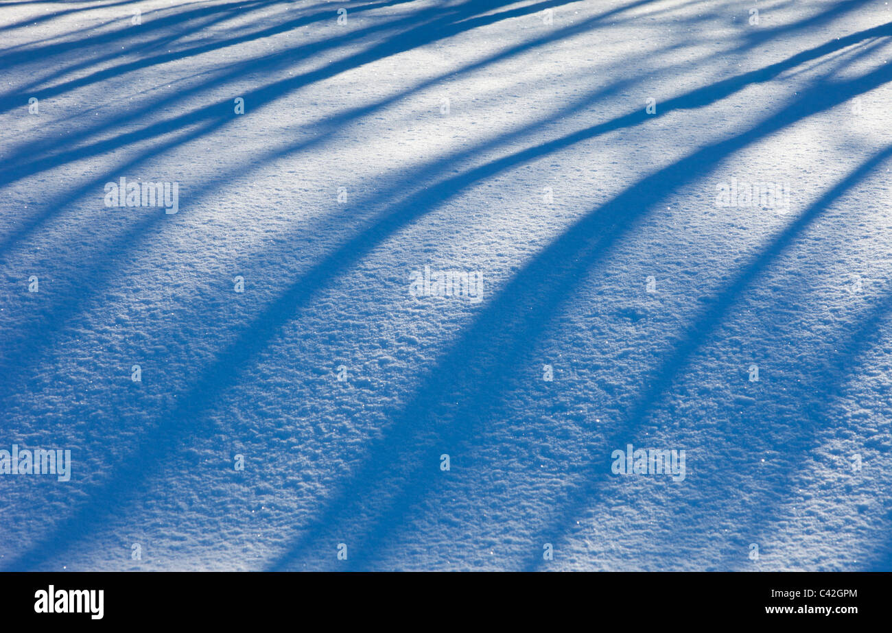 Shadows on snow surface at Winter , Finland Stock Photo - Alamy