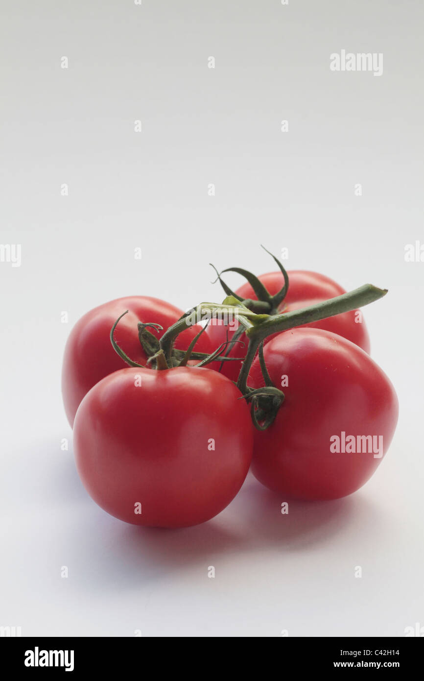 Four red tomatoes on a white background Stock Photo - Alamy
