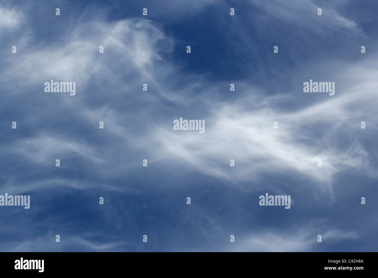 Blue Sirius High Resolution Stock Photography and Images - Alamy