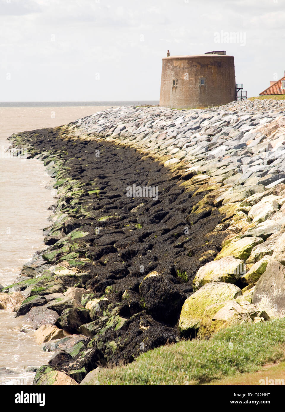 Rock armour coastal defences protect the martello tower East Lane ...