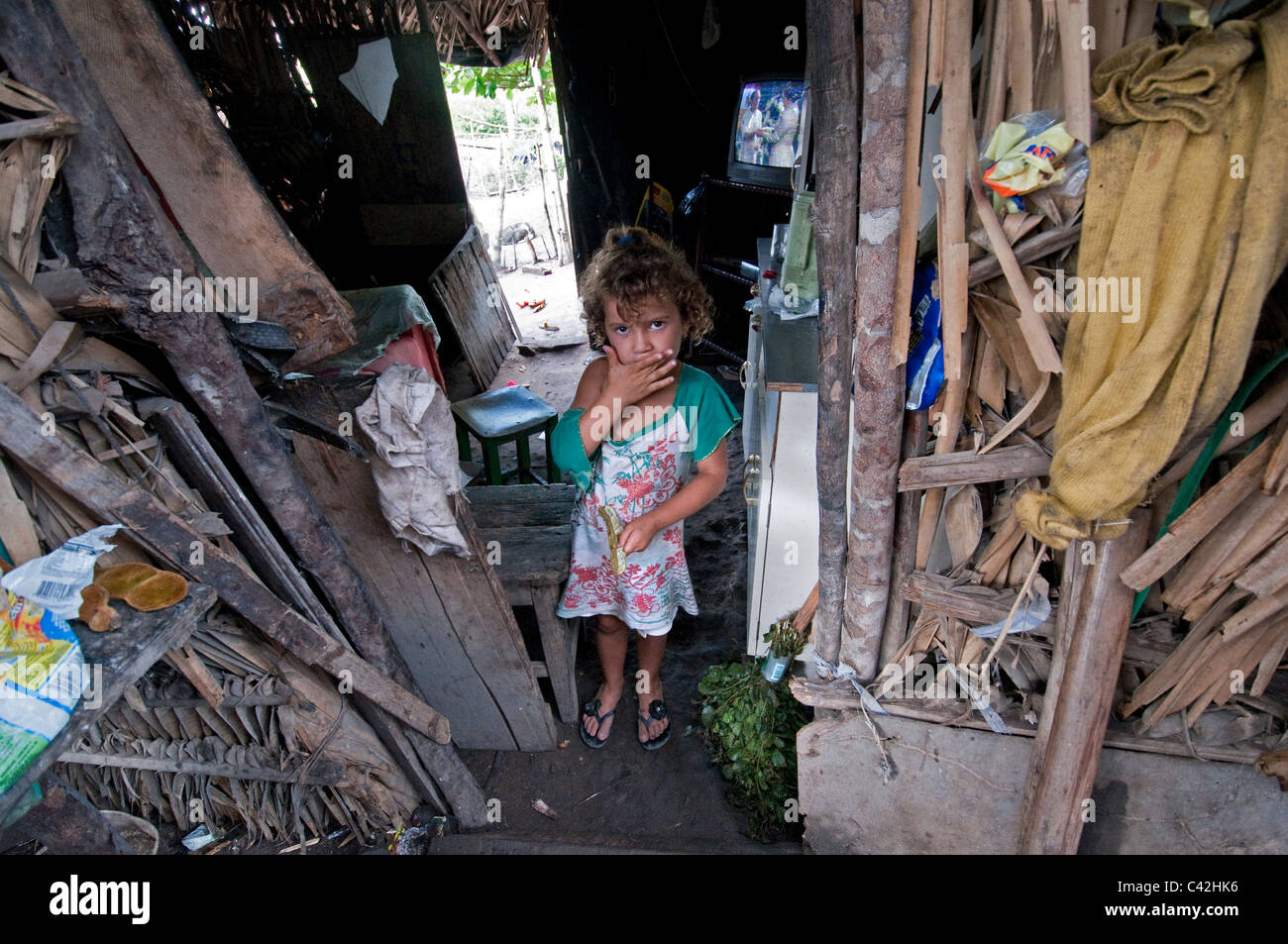 Movimento Dos Sem Terra MST Is a political movement in Brazil where ...