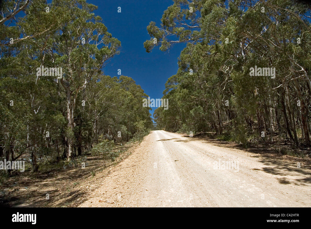 Australia outback road dust hi-res stock photography and images - Alamy