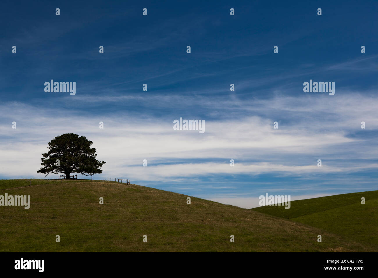Lone tree deforestation hi-res stock photography and images - Alamy