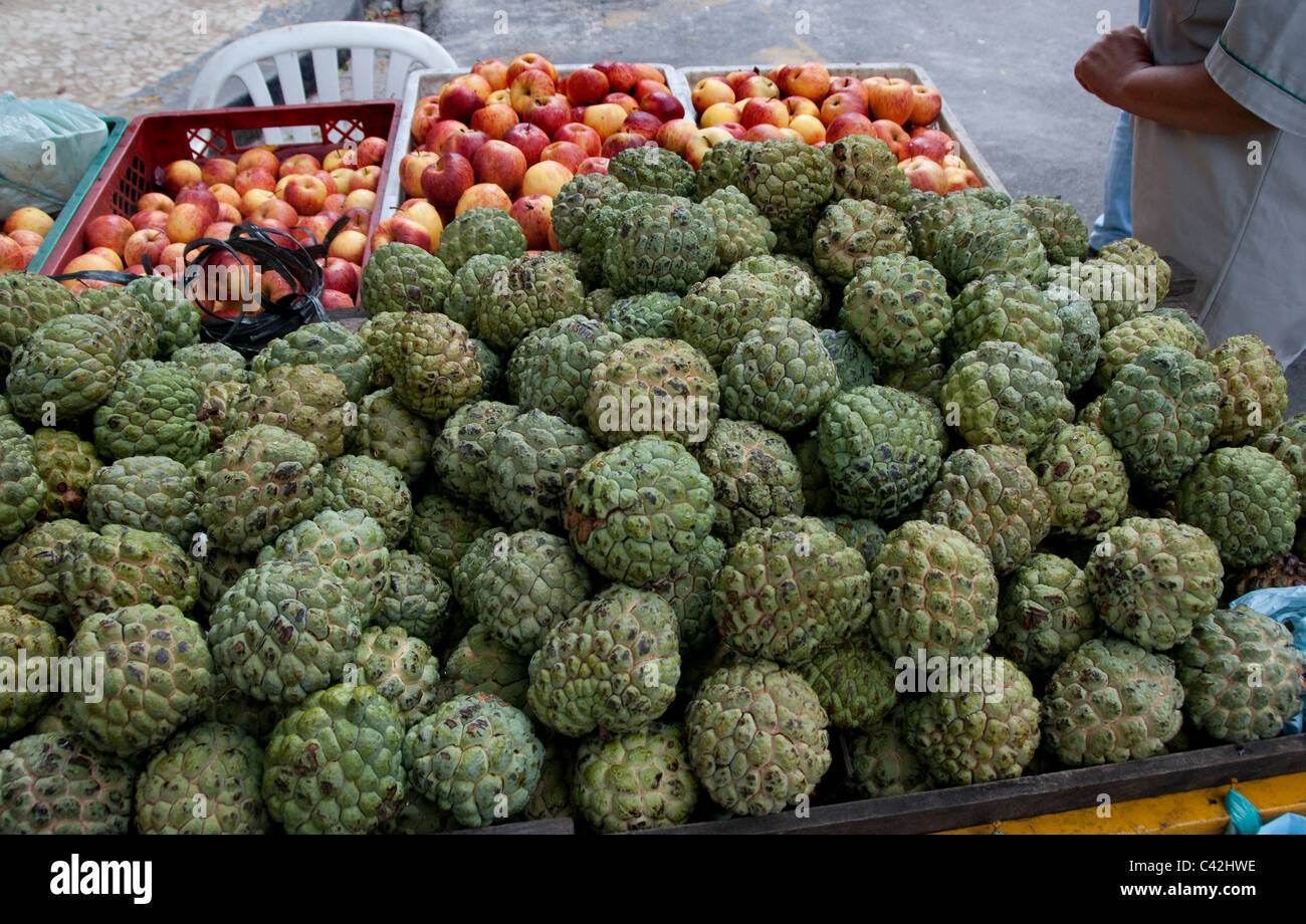 Pinha hi-res stock photography and images - Alamy