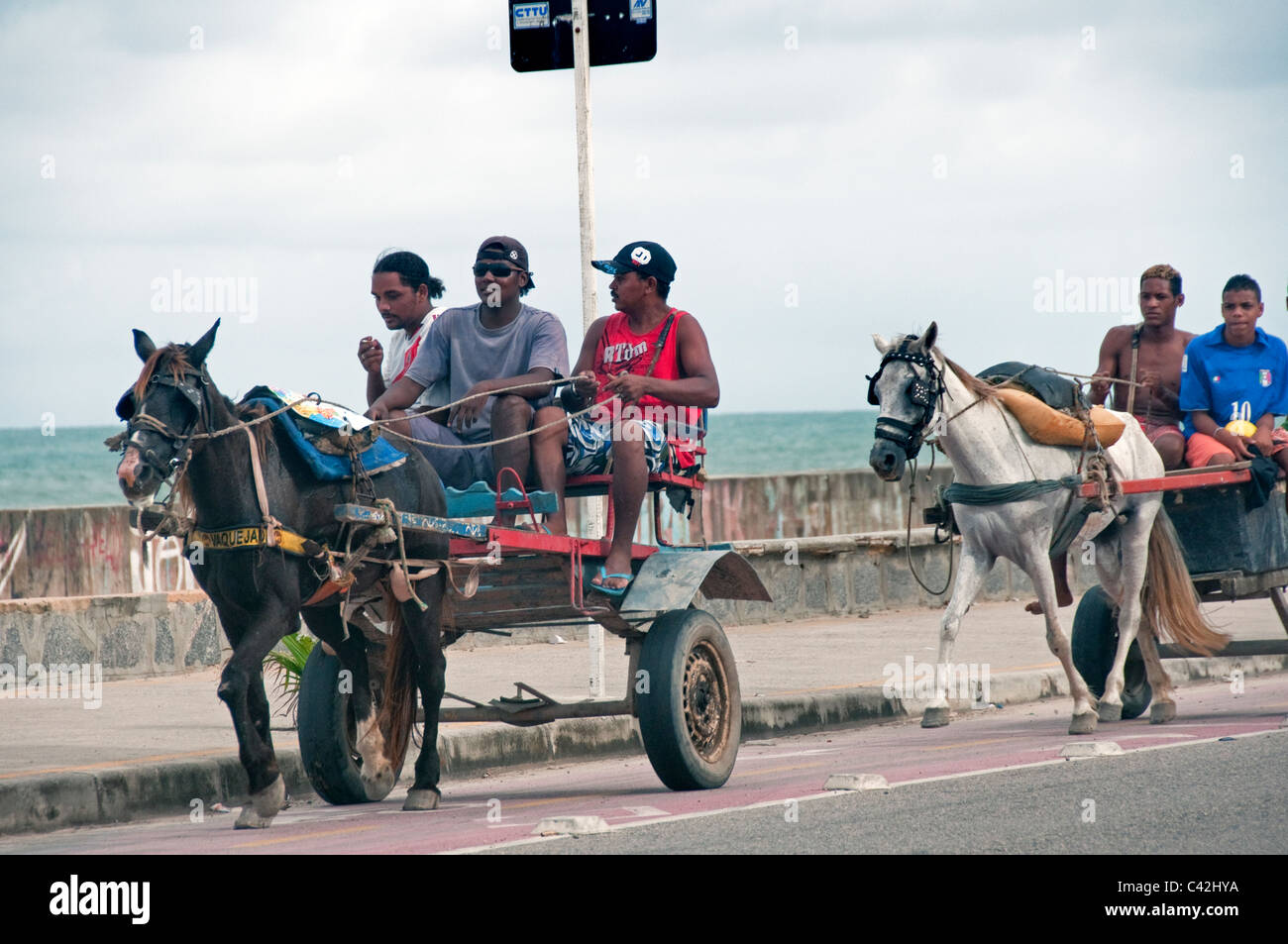 Horse and carts trotting along coast Recife Brazil Stock Photo - Alamy
