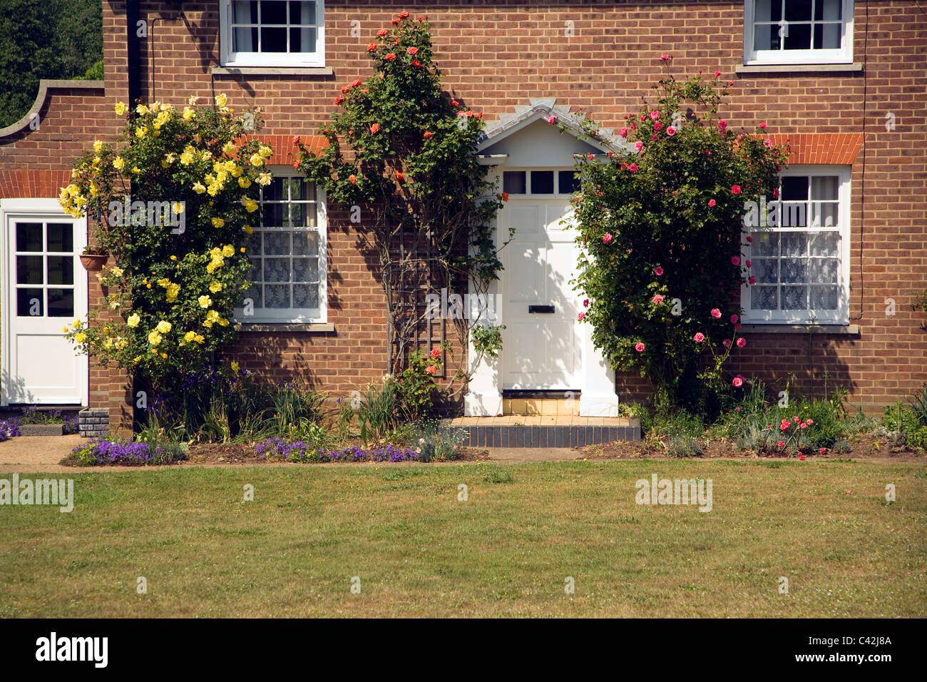 Country cottage roses hi-res stock photography and images - Alamy