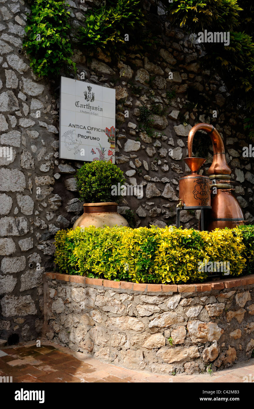 The traditions of perfumery on the Capri Island stretches back hundreds ...