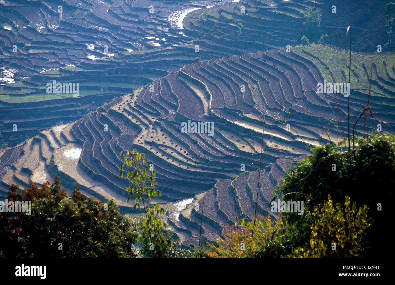 Terraced paddy fields in Himalayas. Baglung district, Nepal Stock Photo ...