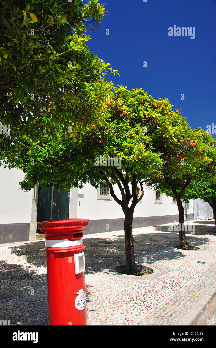 Orange trees, Largo da Se, Old Town, Faro, Faro District, Algarve ...
