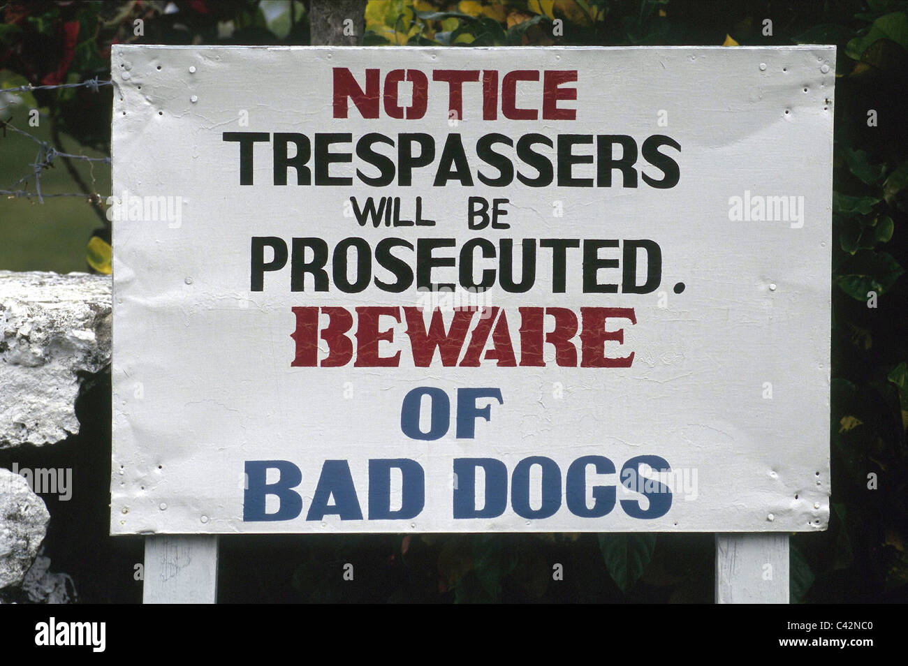 Warning sign Beware of bad dogs in rural Jamaica Stock Photo - Alamy