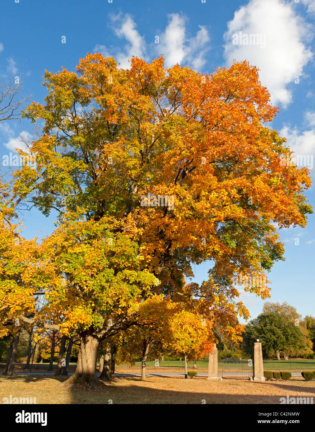 Changing colors season hi-res stock photography and images - Alamy