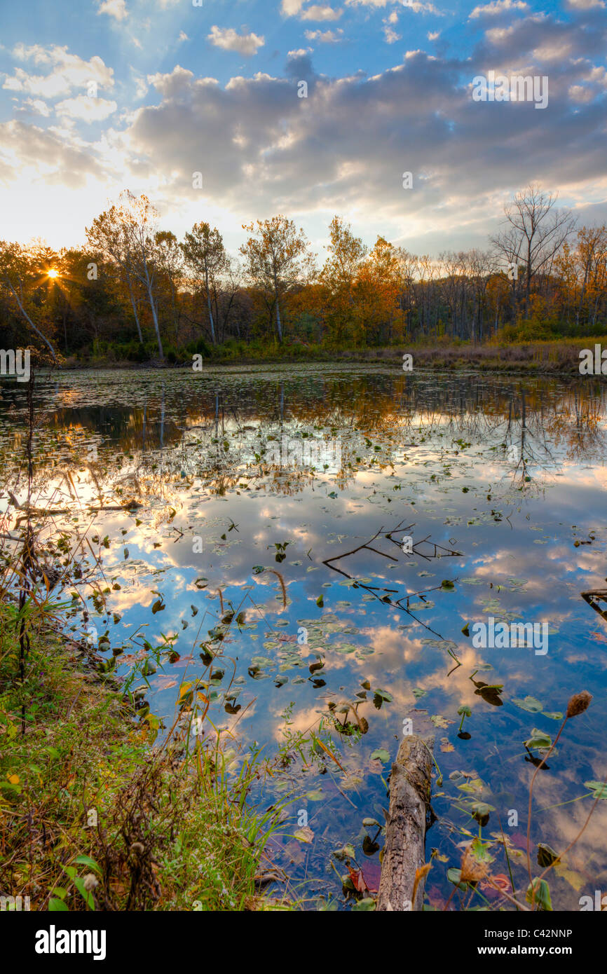 Lake in fall Stock Photo - Alamy