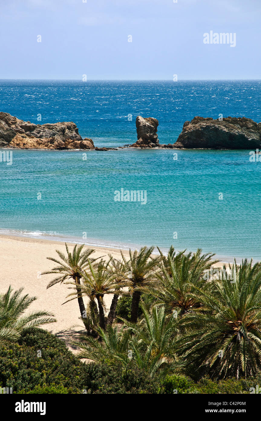 Looking down on Vai beach on Crete's remote eastern coast, Crete ...