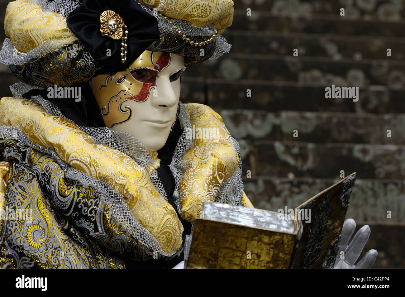 Venetian Carnival Mask - A portrait of one of the most beautiful masks ...