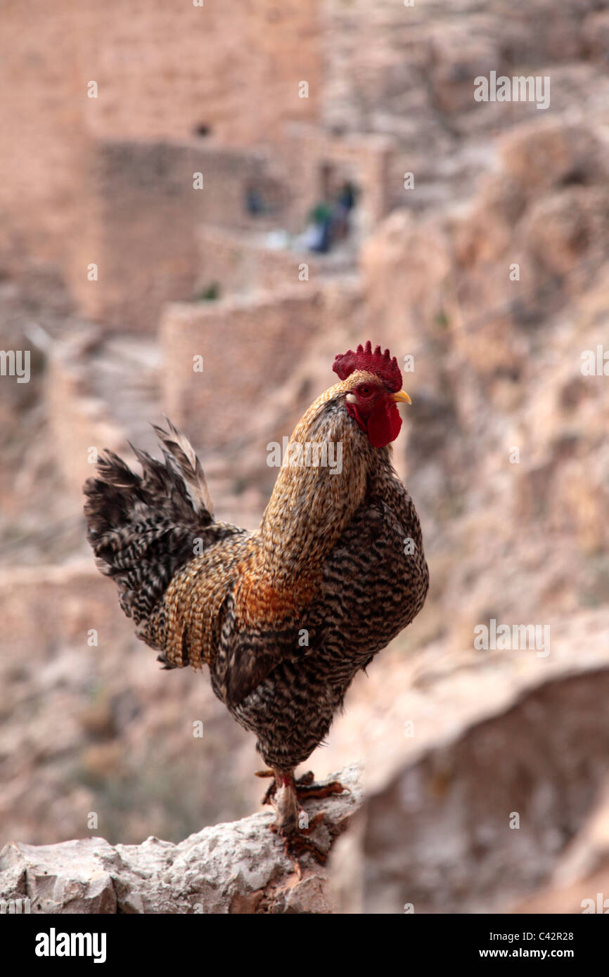 Deir Mar Musa Monastery, Syria Stock Photo - Alamy