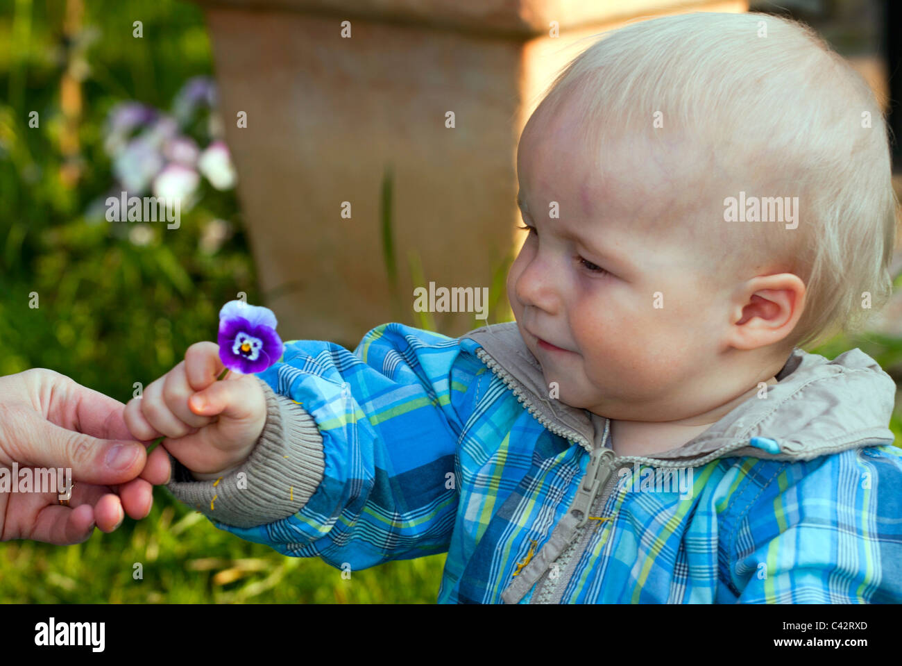 Baby taking the flower from mother hand Stock Photo - Alamy