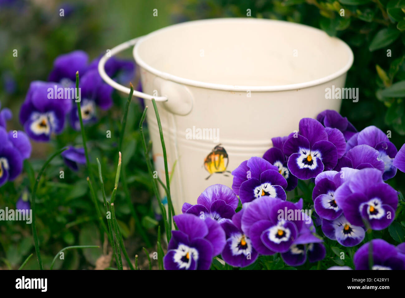 Small bucket hi-res stock photography and images - Alamy