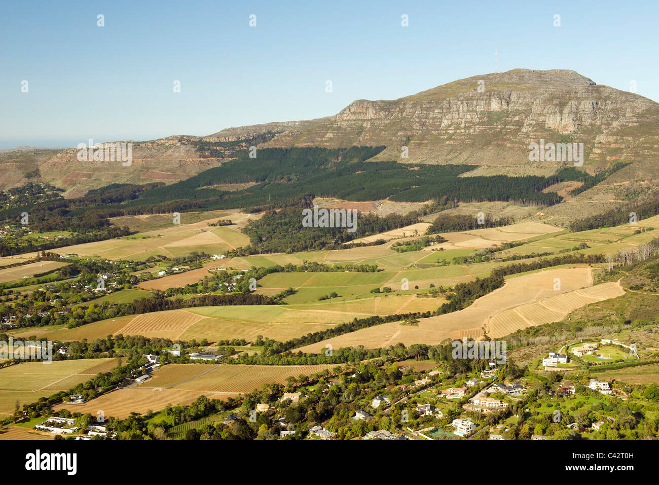 Aerial view of Constantia and Tokai vineyards on the slopes of Elephant ...