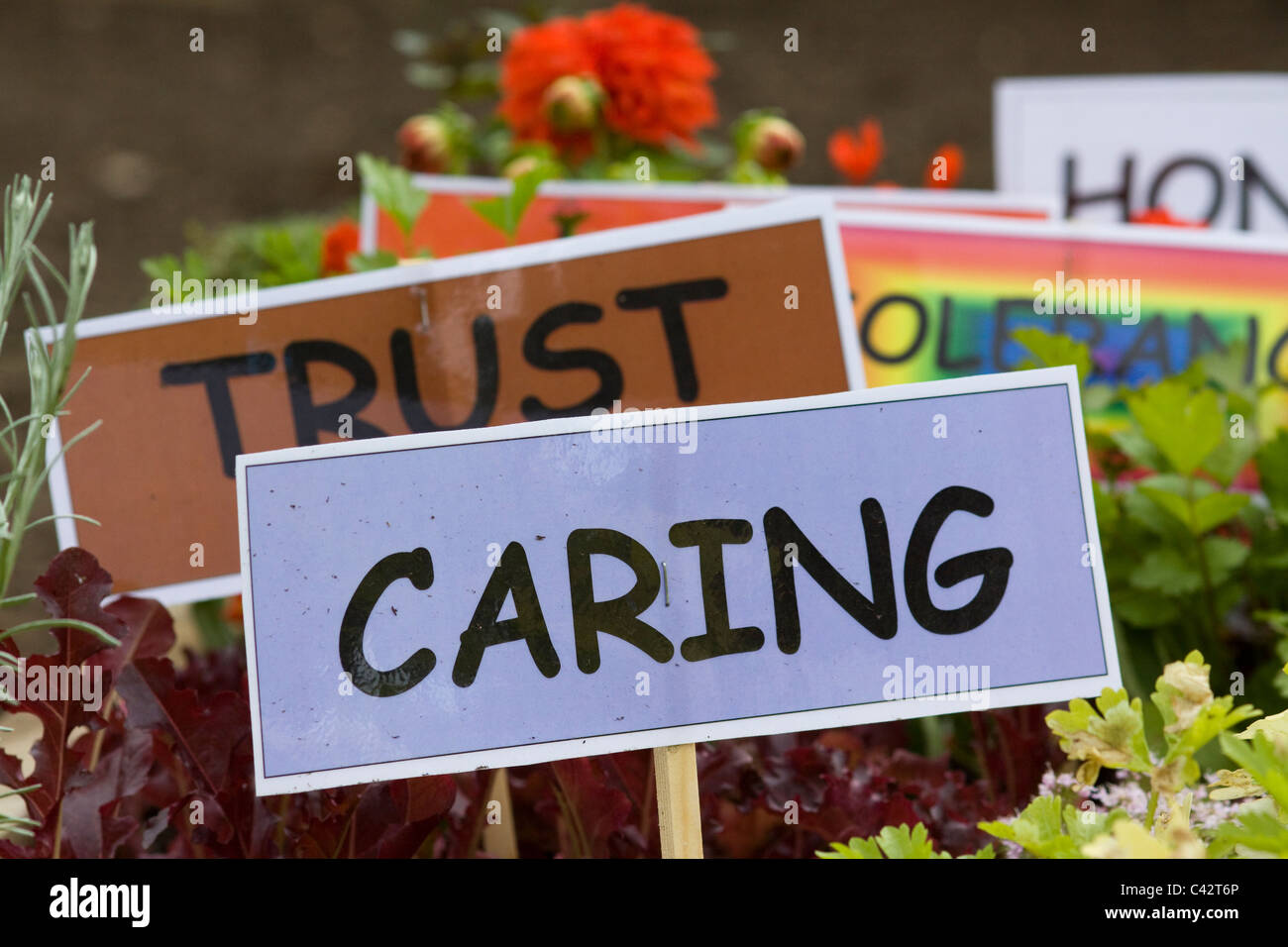 Signs on a Garden saying trust honesty respect and Caring Stock Photo ...