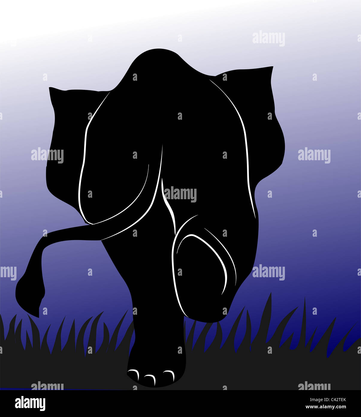 an elephant in blue background Stock Photo - Alamy